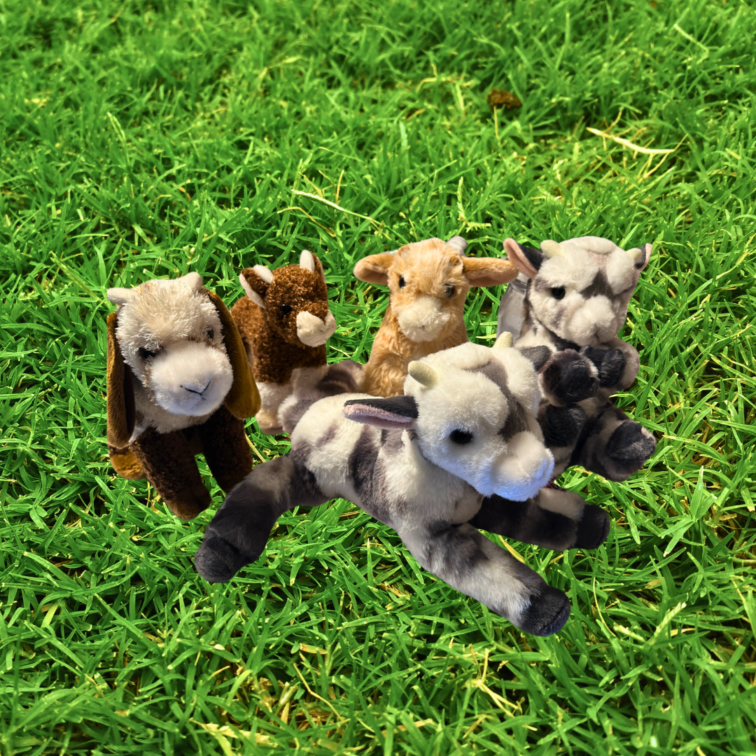 Goat Plushie Collection – Brookshire Acres